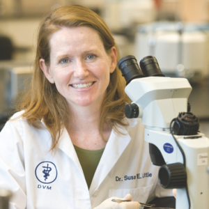 Fetch Charlotte Veterinary Conference - DVM360 Events