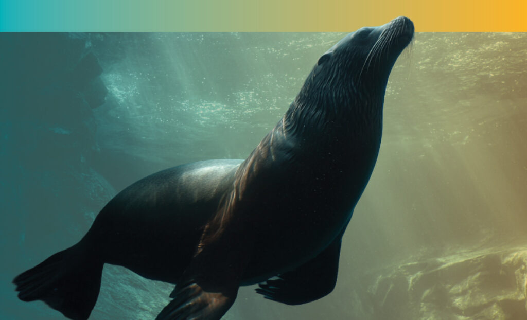 dvm360 Veterinary Conference continuing education for professionals